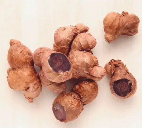 15 Black Ginger Rhizomes For Growing ,Kaempferia parviflora Rhizomes ...