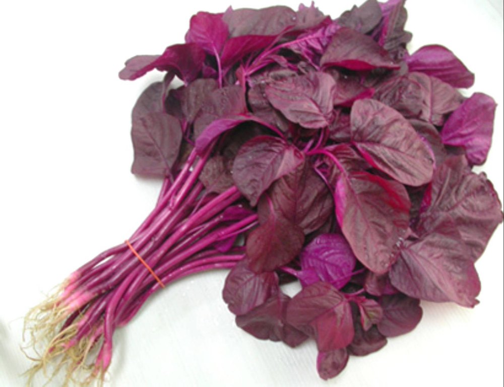 Home 1 › 1000 Beetroot red spinach, Red Spinach , Red Amaranth Seeds ...